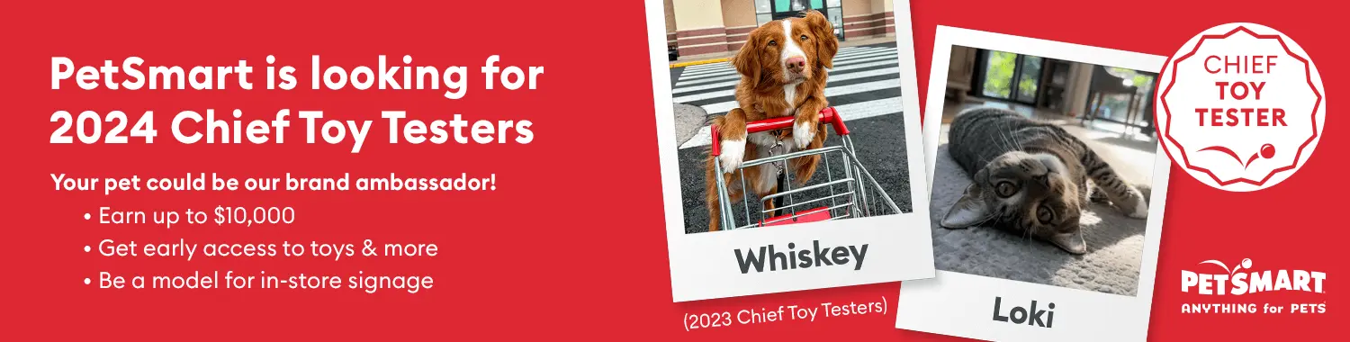Win $10K and the opportunity to be a PetSmart Chief Toy Tester!